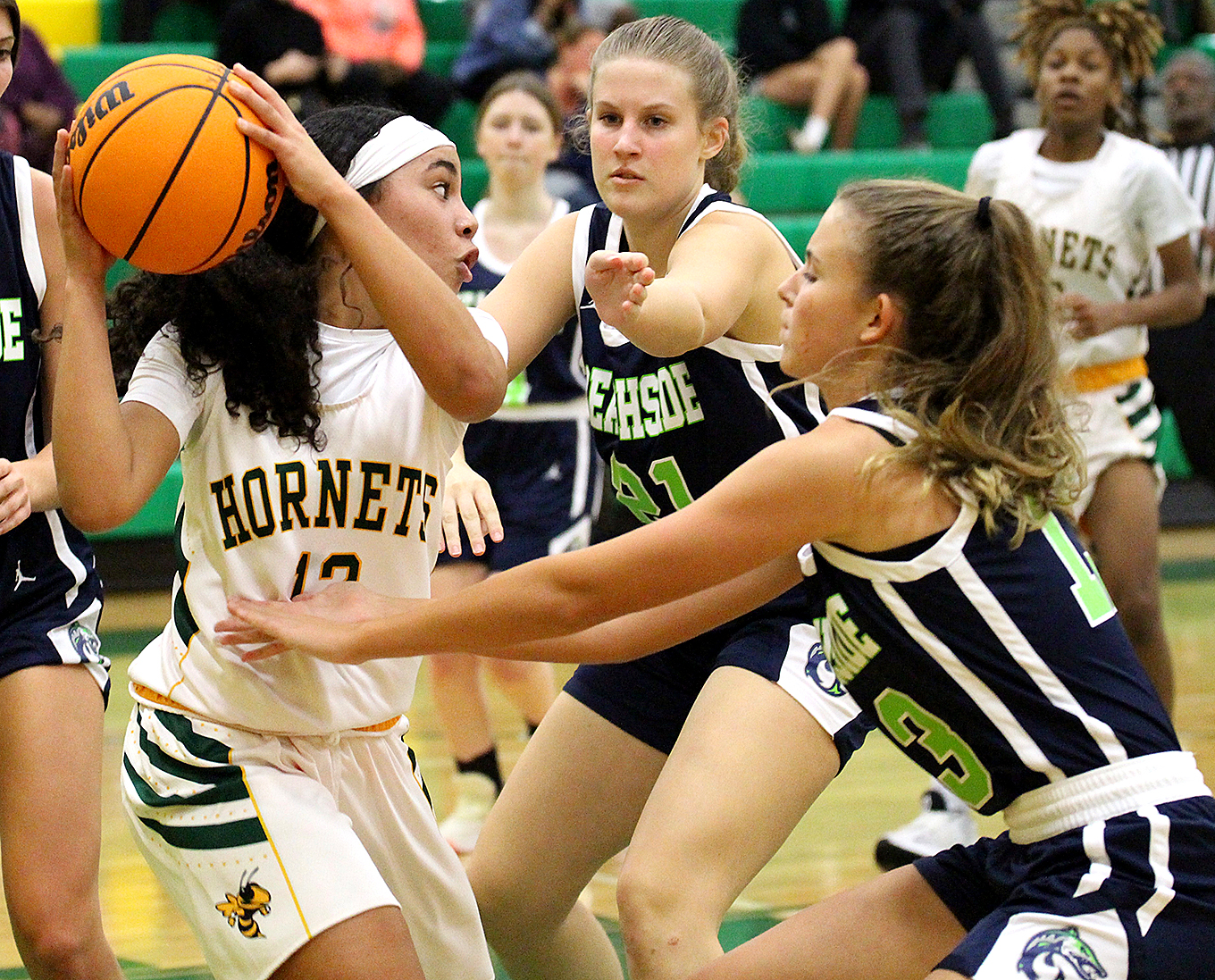 In Pictures: Season tip-off for Lady Hornets | News-Leader, Fernandina ...
