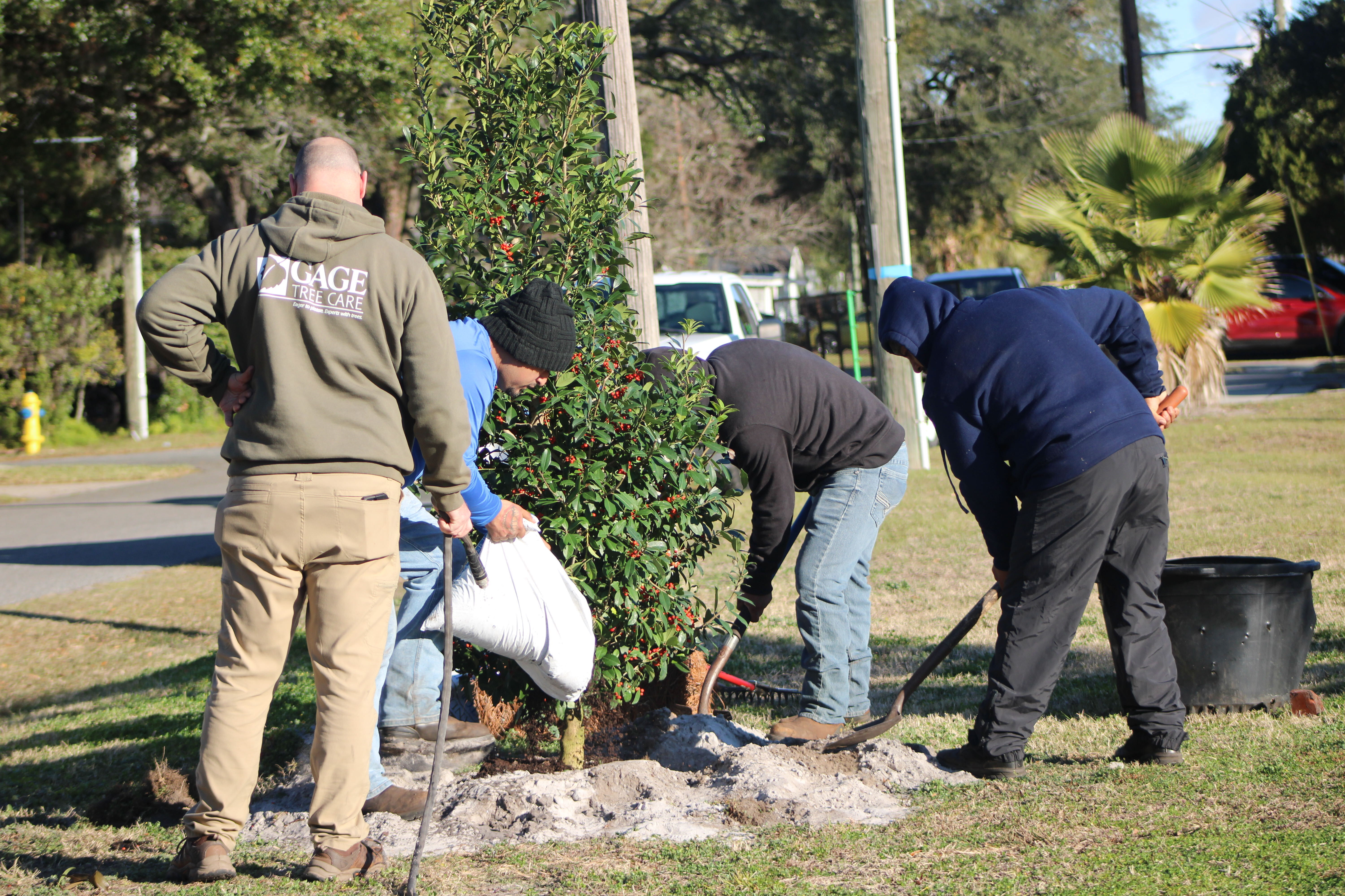 Florida Arbor Day in Fernandina Beach | News-Leader, Fernandina Beach ...